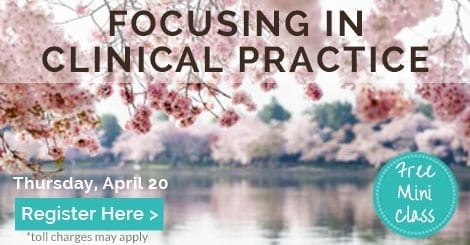 Inner Relationship Focusing with Ann Weiser Cornell | Focusing Changes ...