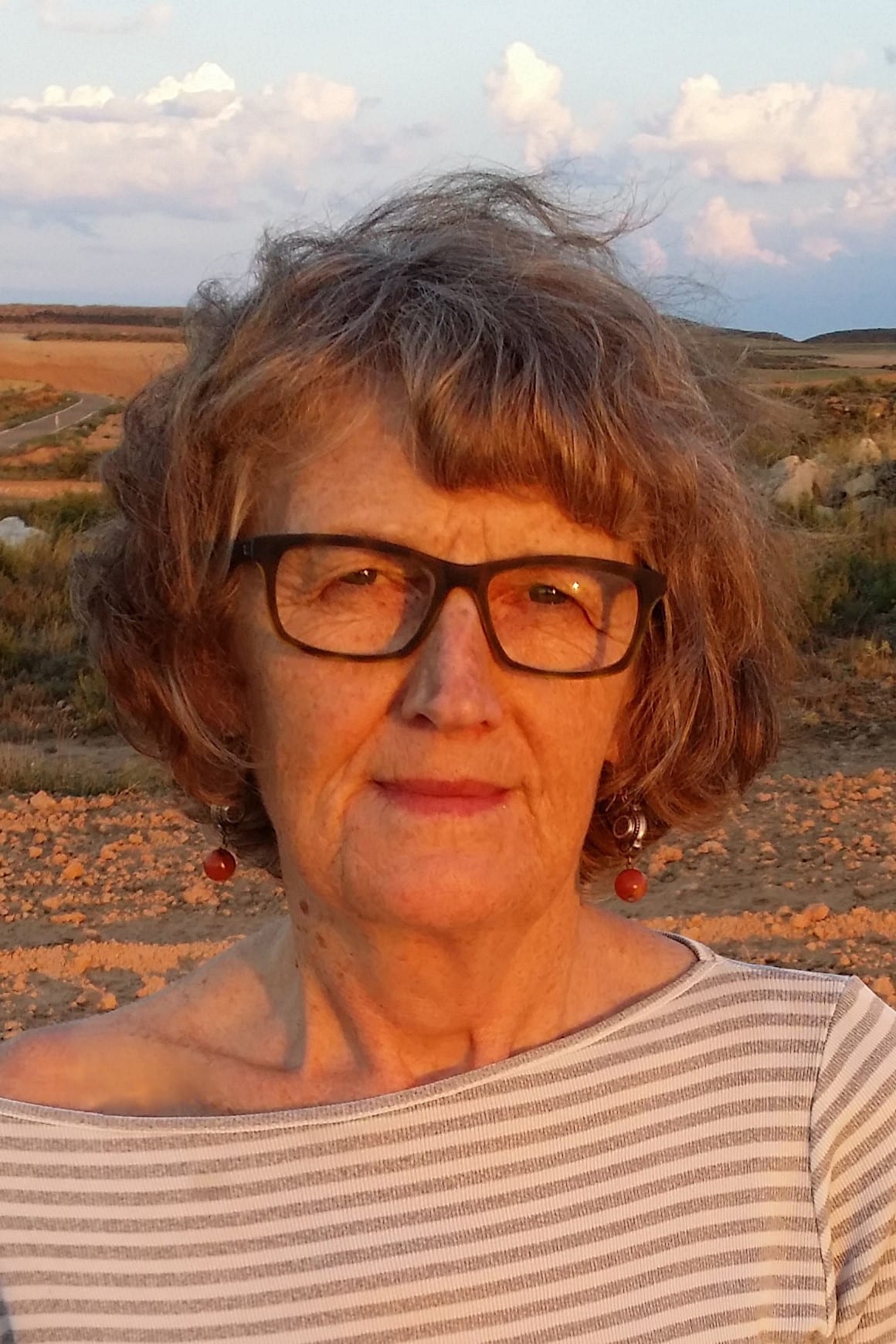 Demonstrations of Facilitating Focusing - Watch Ann work with a client