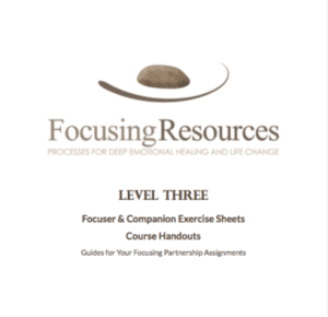 Level Three Exercise Sheets - Focusing Resources