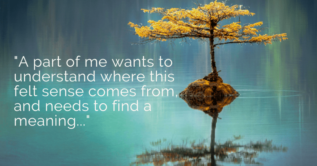 Focusing Tip #636 - "I need to find out the meaning of my felt sense ...