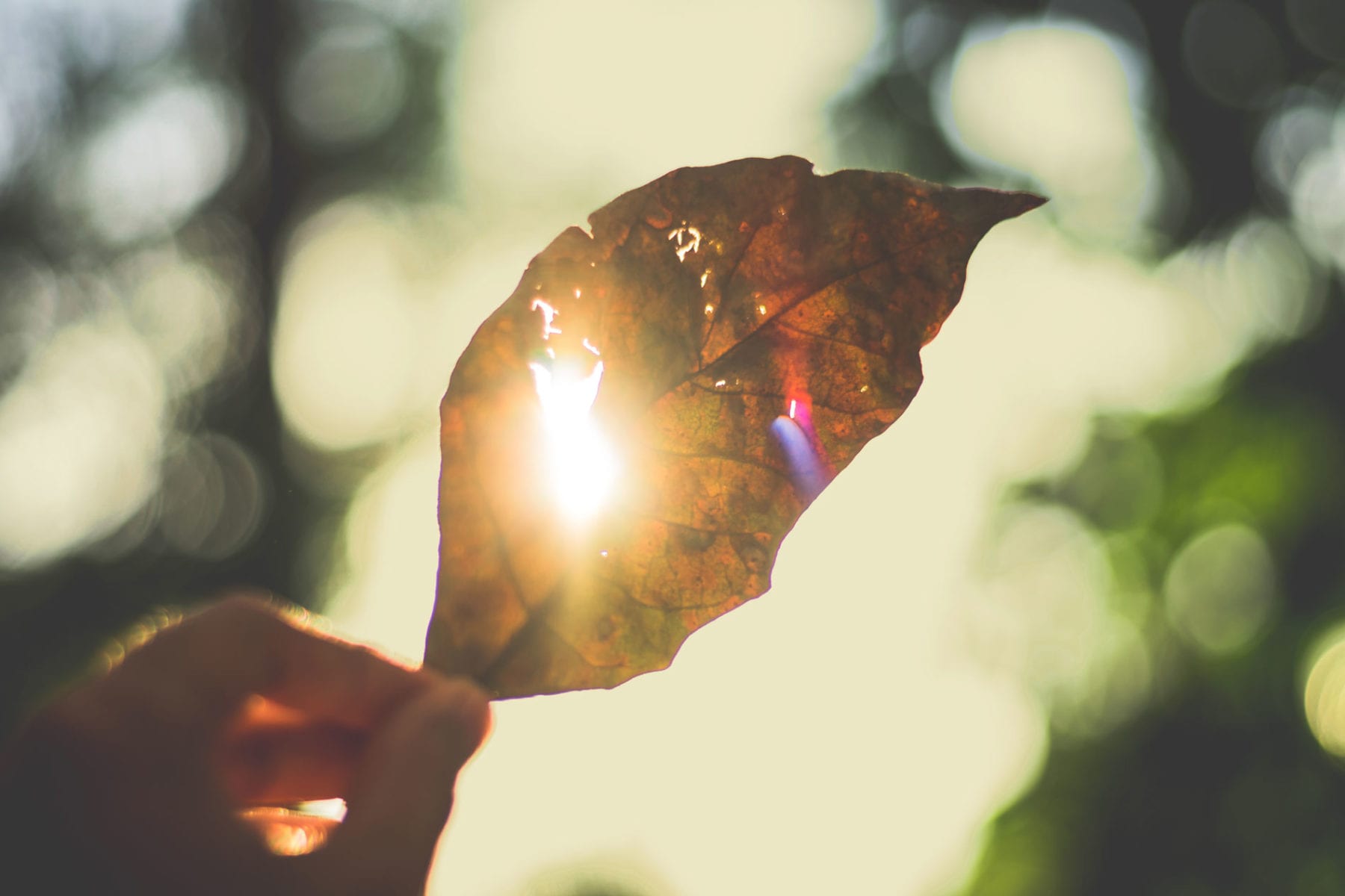 Navigating Loss & Change - Focusing Resources