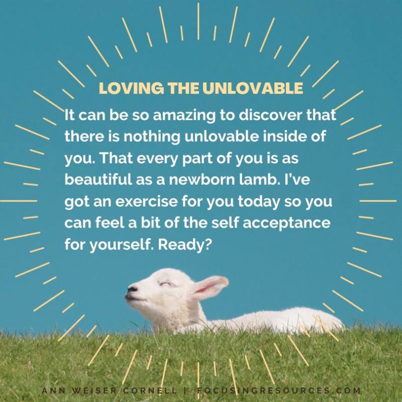 Step by Step: Loving the Unlovable - Focusing Resources